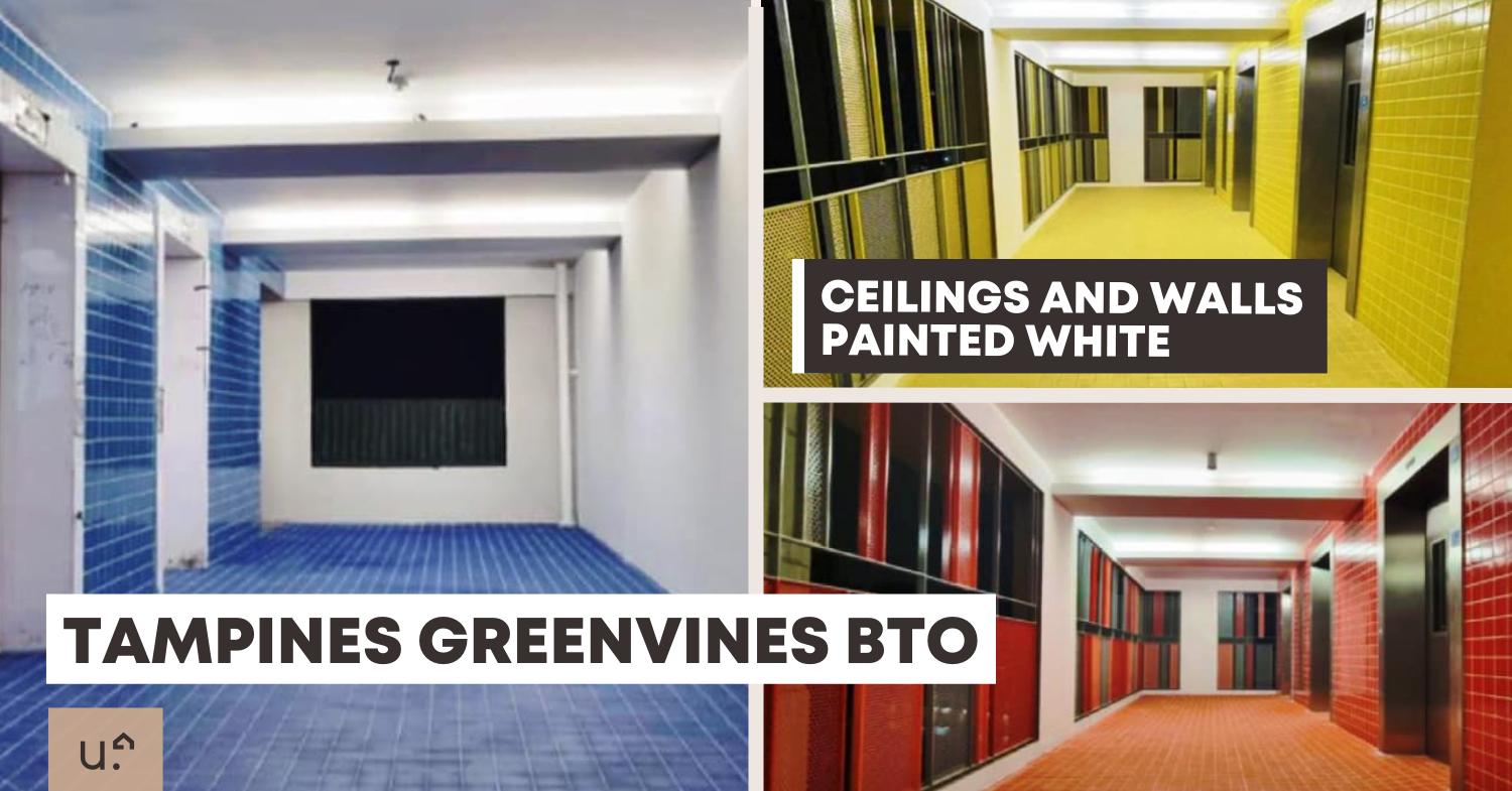 Do You Actually Like The Colourful Tampines GreenVines Blocks?