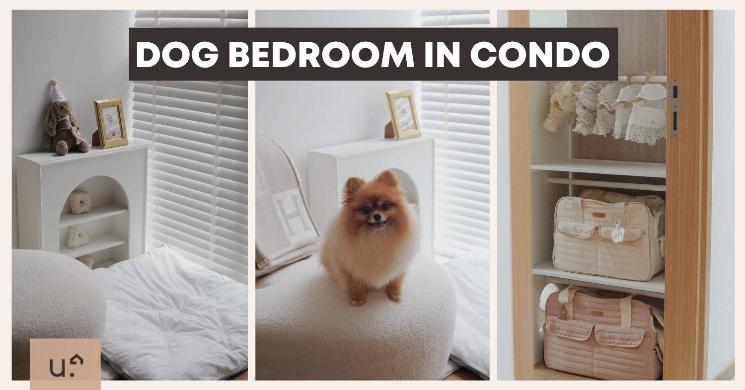 This Hardcore Pawrent Gave Her Dog Its Own Condo Bedroom
