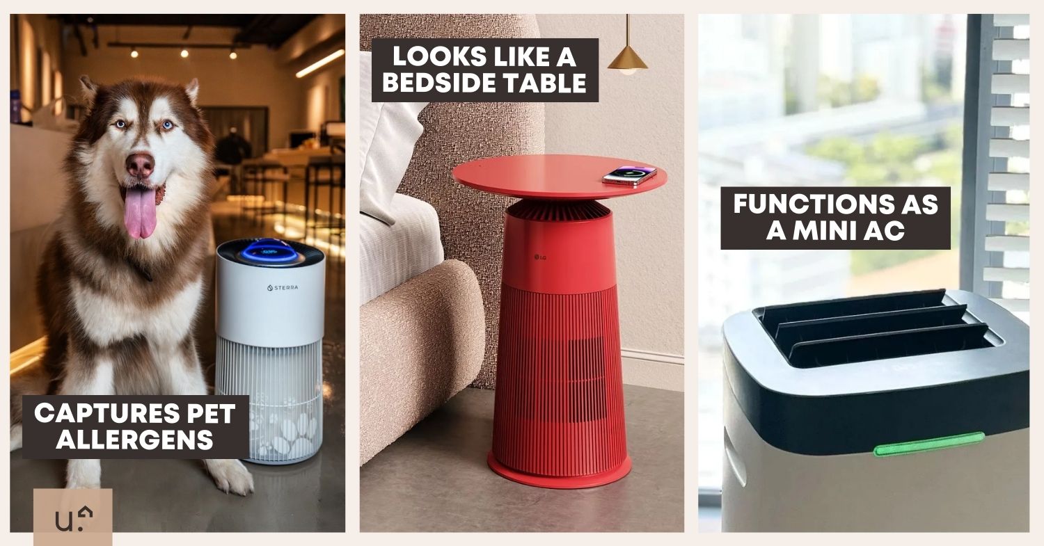 Air Purifiers To Tackle Pet Fur, Pollen & Haze At Home