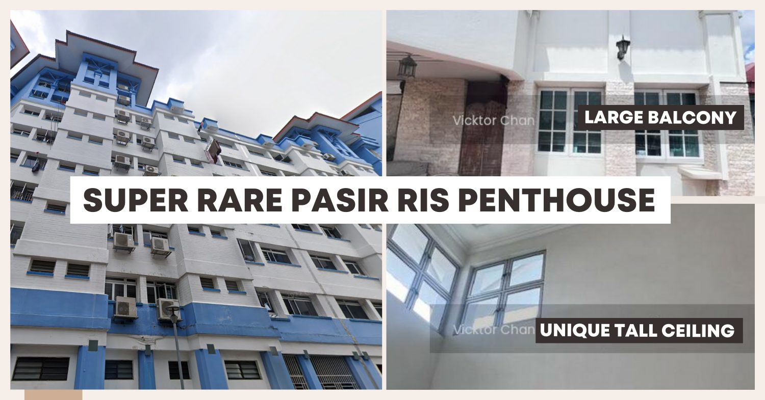 Rare Pasir Ris HDB Penthouse Has High Ceiling & Large Terrace