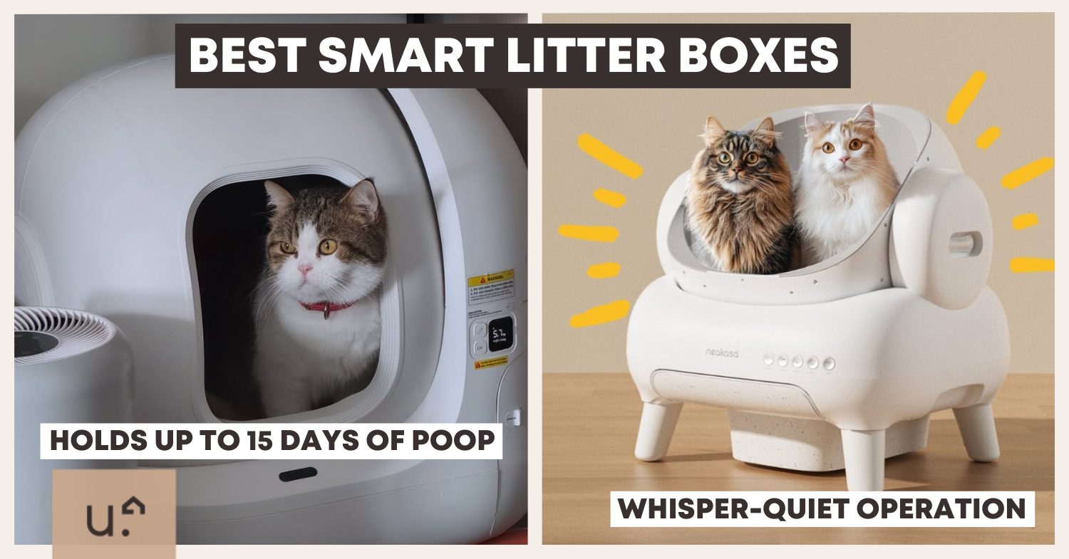 8 Best Automatic Cat Litter Boxes That Will Scoop Poop For You